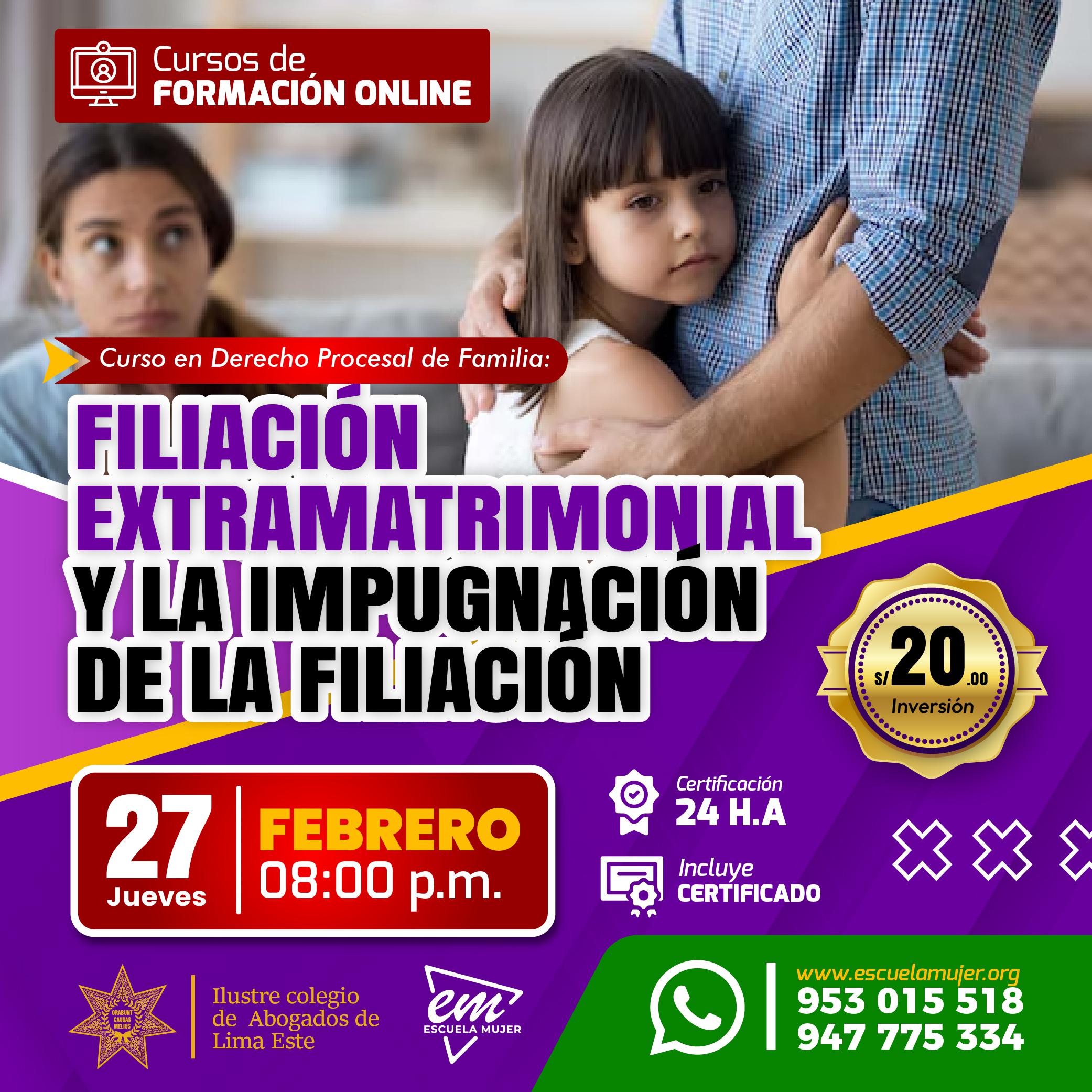 Escuela mujer - Curso en Derecho Procesal de Familia: Filiación ...